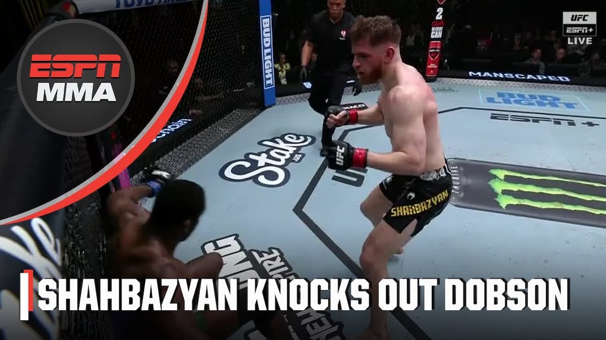 UFC Vegas 89 video: Edmen Shahbazyan gets rocked, rebounds & stops AJ ...