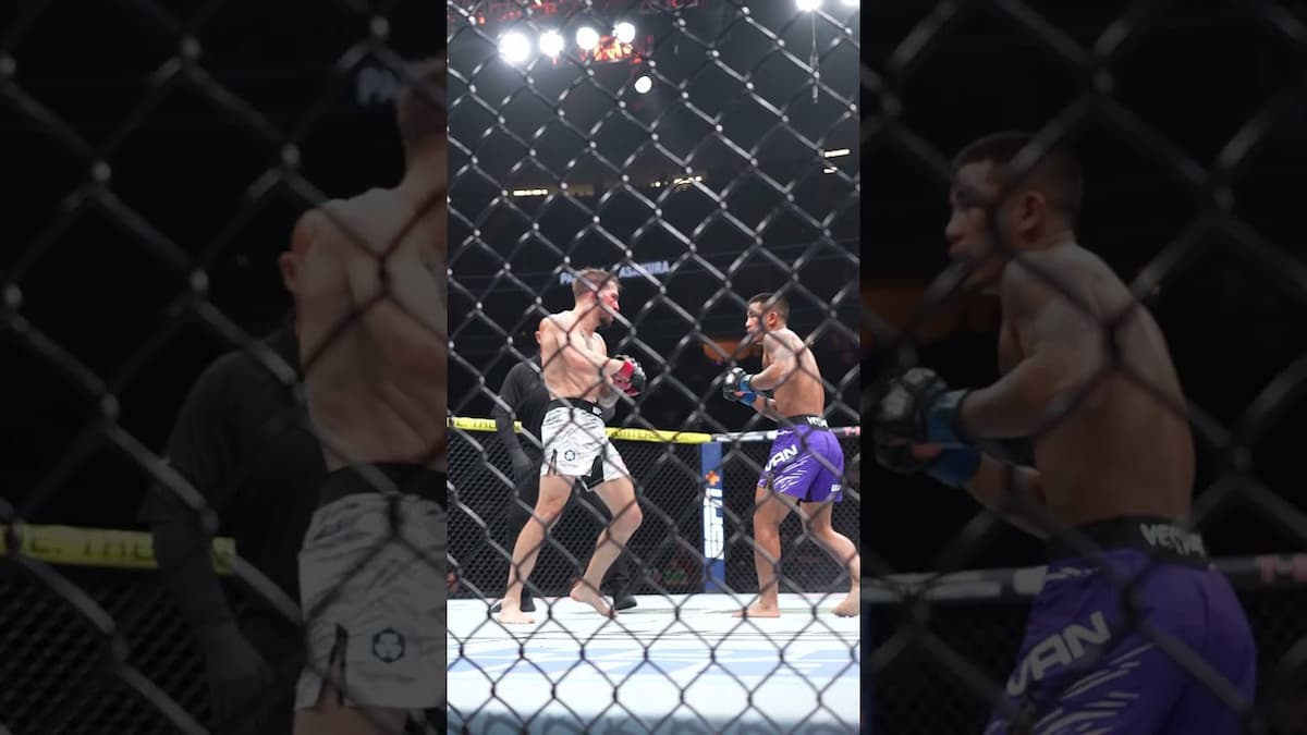 UFC 313: Joshua Van vs Bruno Gustavo da Silva among bouts reported for ...