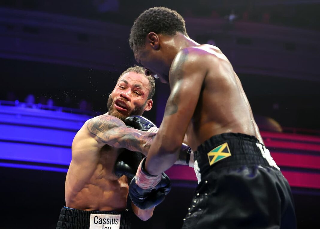 Torrez vs Vianello results, full fight card - FIGHTMAG