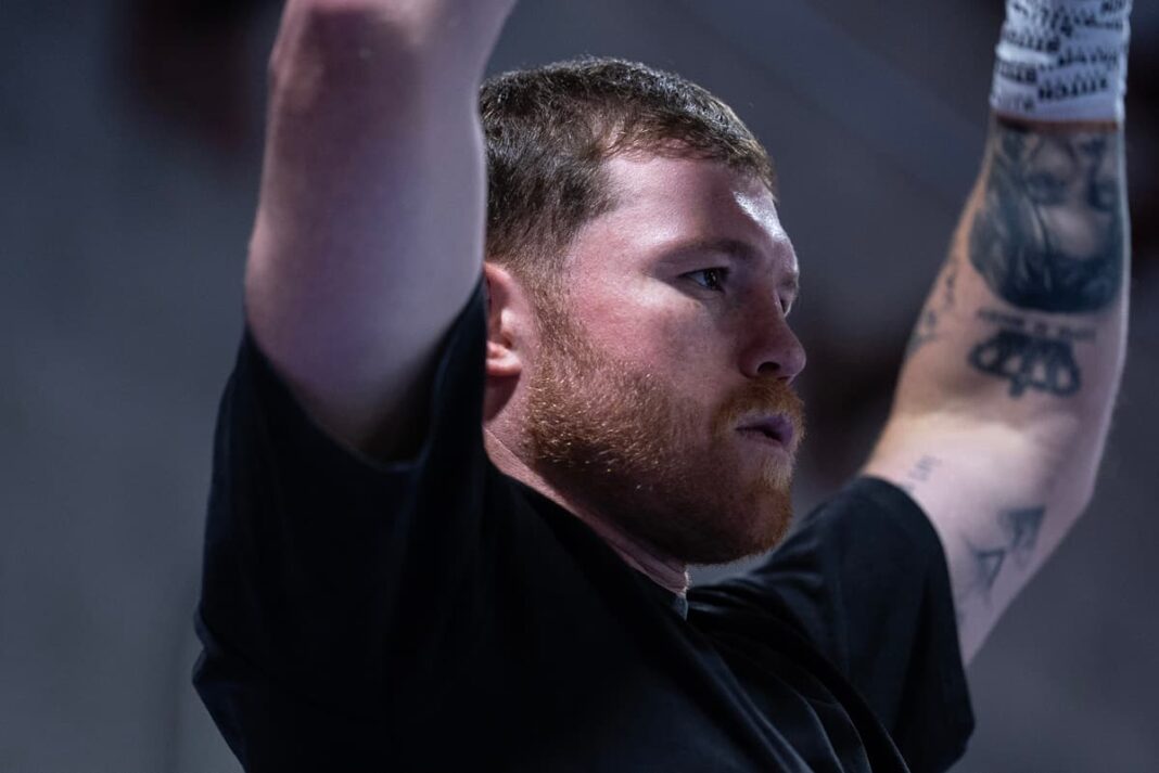 Photos: Canelo Alvarez showcases skills at media workout at UFC Gym ...