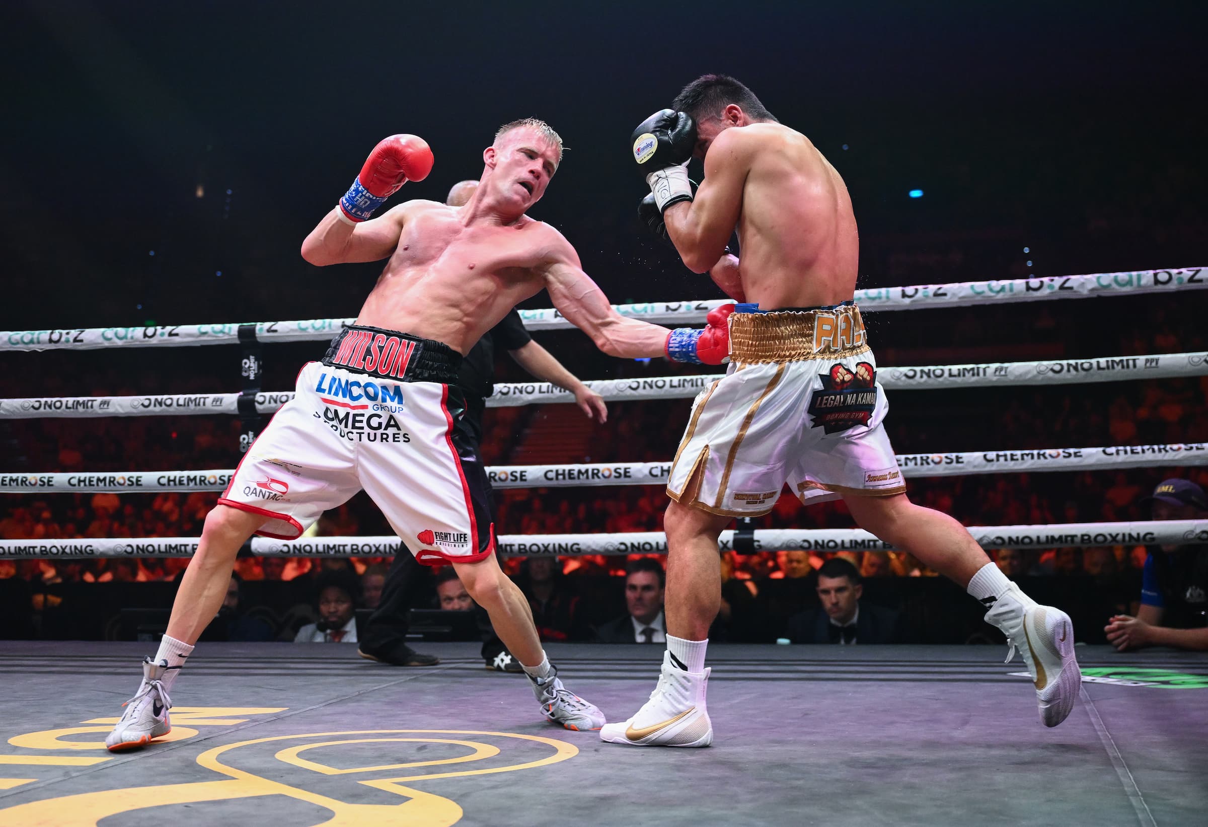 Video: Liam Wilson KOs Rodex Piala with body shot - FIGHTMAG